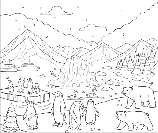 Arctic And Polar Region Colouring Page | Free Colouring Book for Child