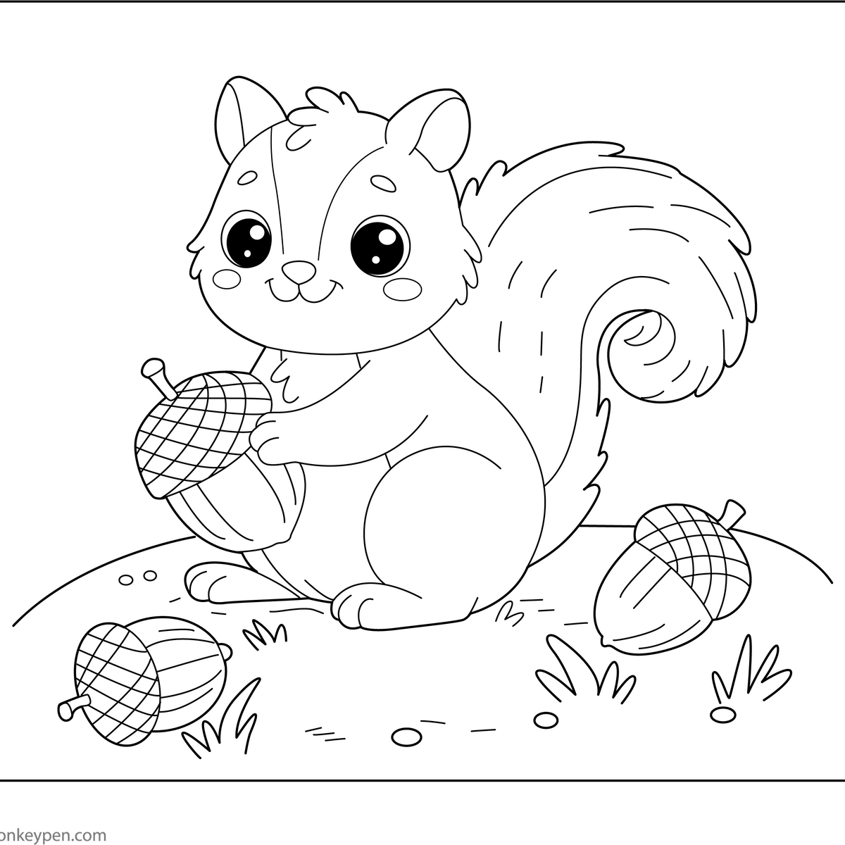squirrels coloring sheet