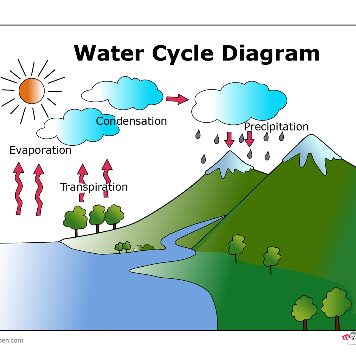 water cycle poster examples