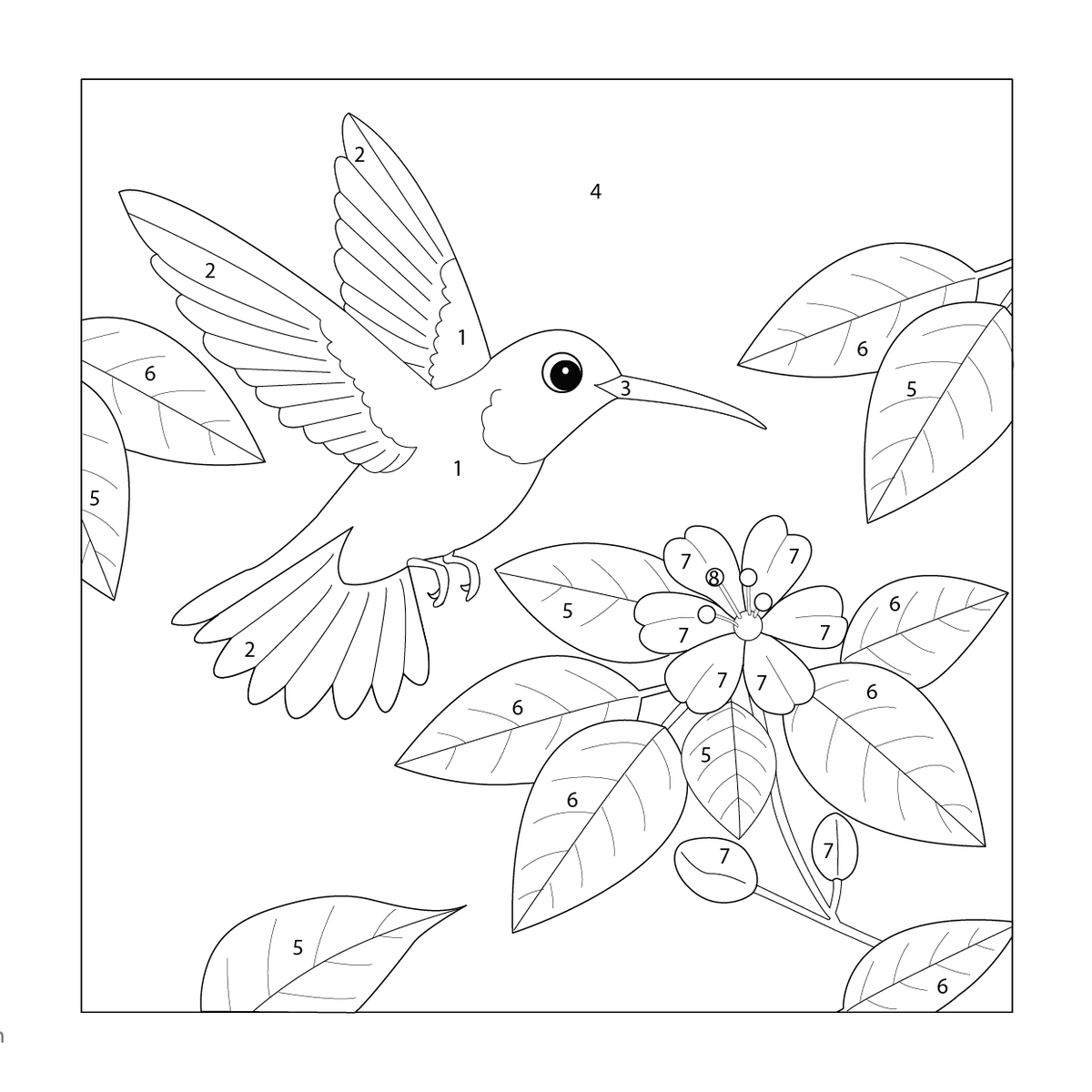 Hummingbird Color by Number – Colour Your World Printables
