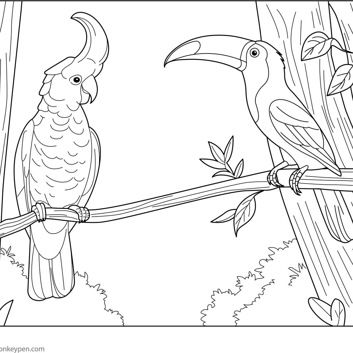 free printable toucan coloring pages