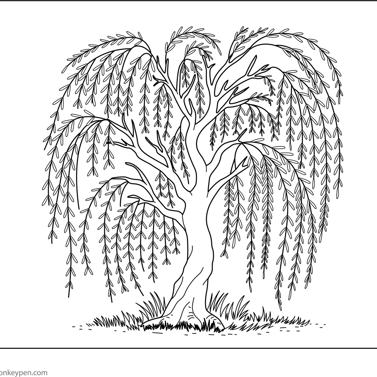 free printable tree coloring pages for adults