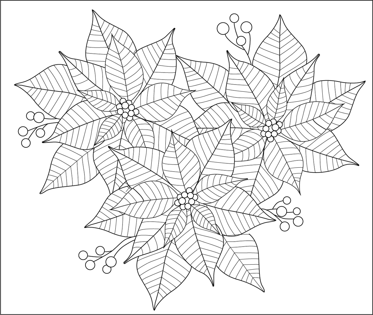 Poinsettias Flower Coloring Page