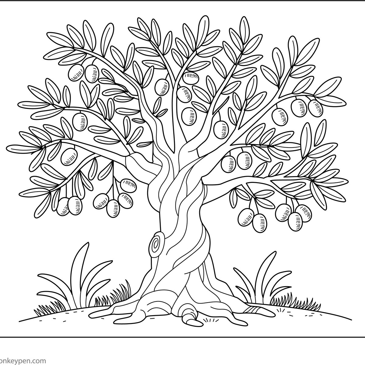 coloring pages olive tree