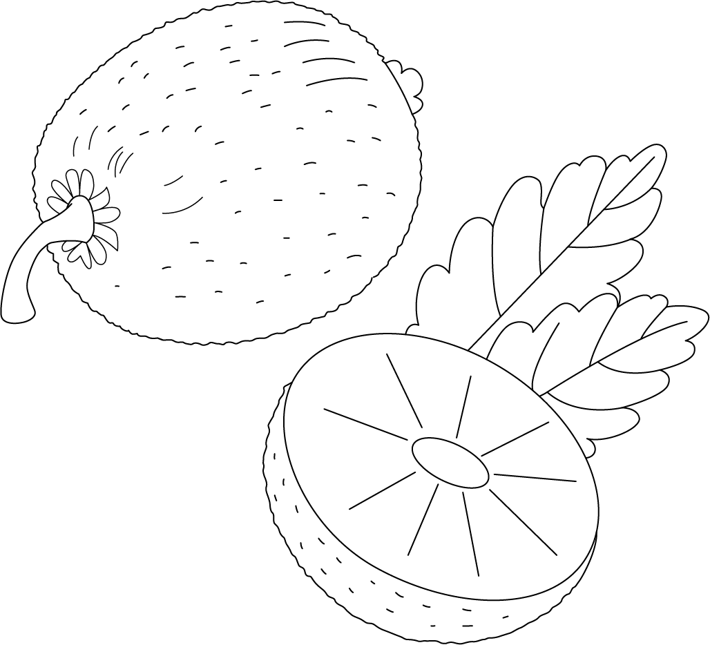 Kiwi Fruit Coloring Page – Healthy Snack Printable for Kids to Color