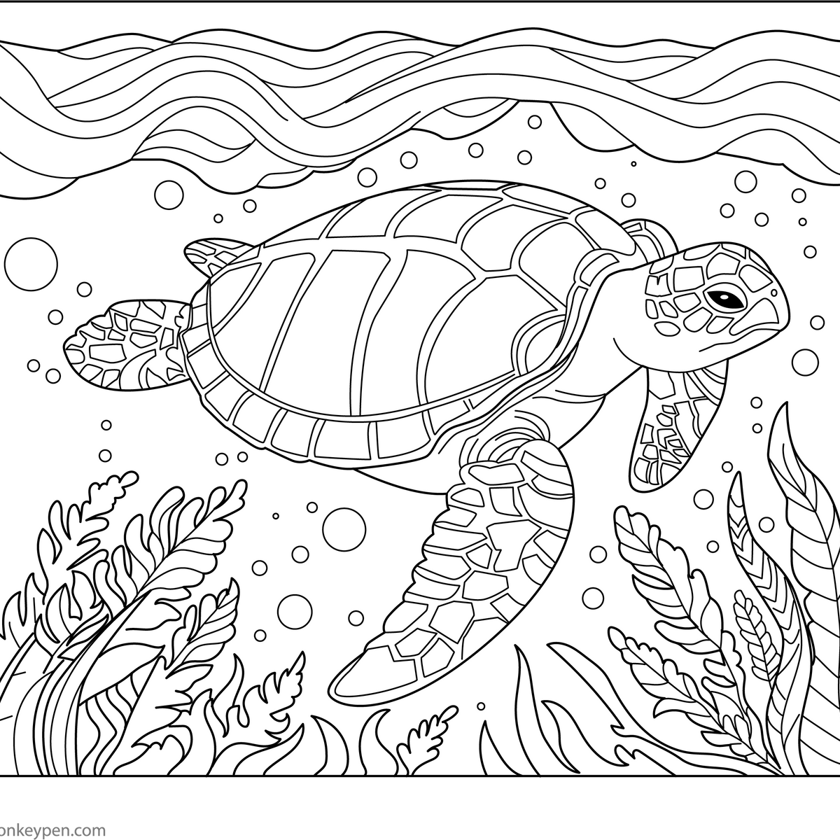 black and white turtle coloring page