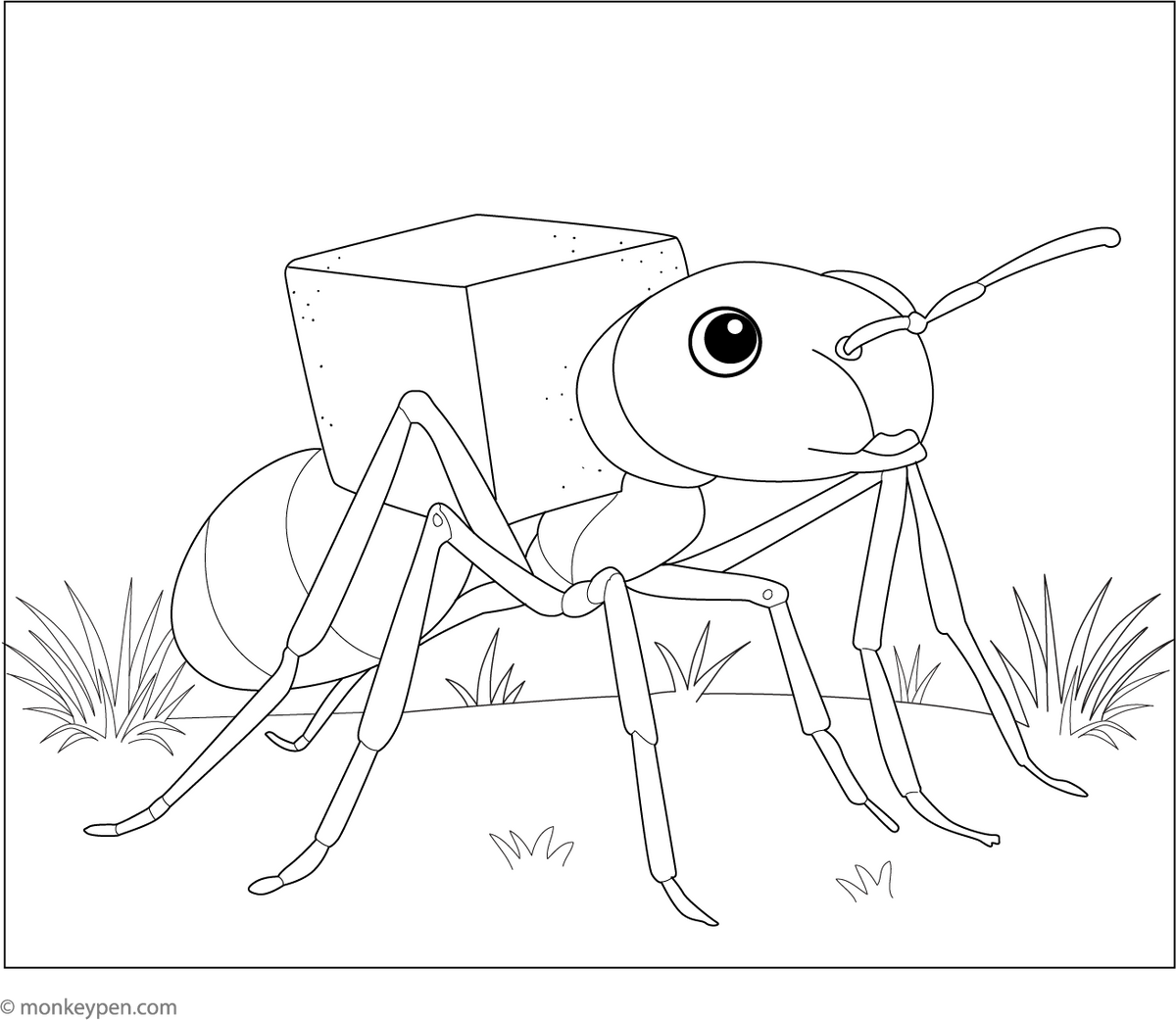 Ant Coloring Book – Fun Activity Pages for Children