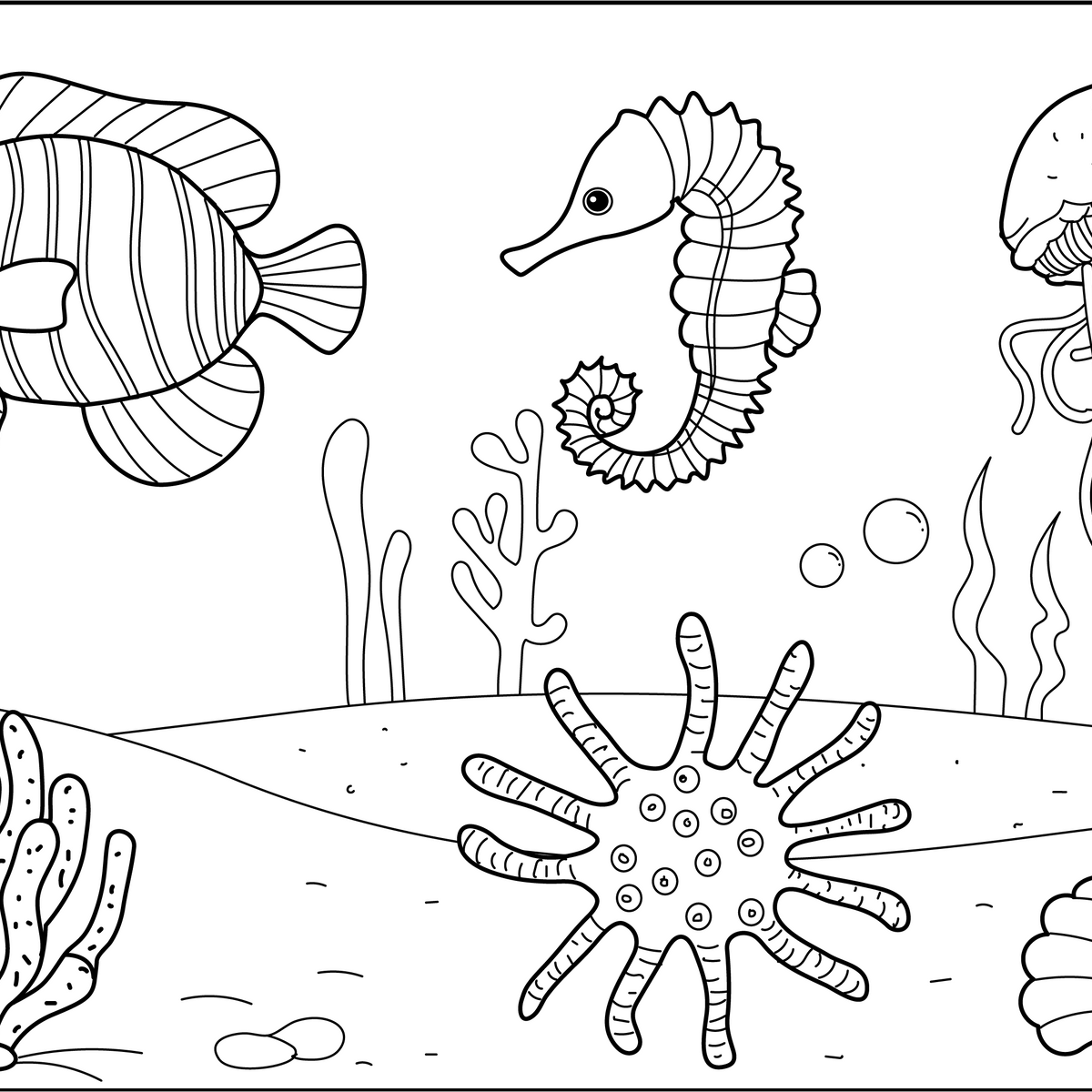 marine mammal coloring pages