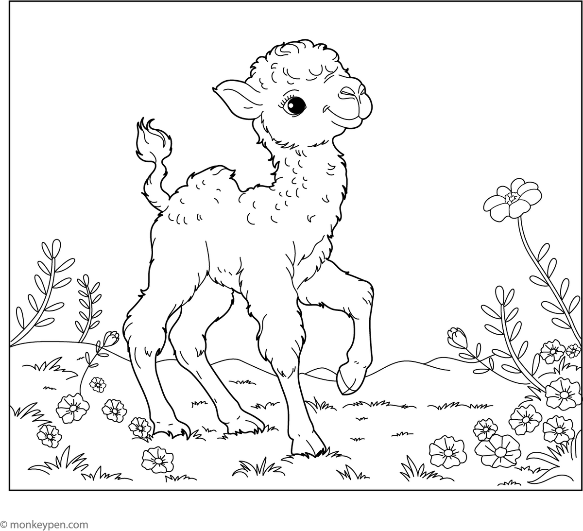 Baby Camel in a Meadow Coloring Page for Kids