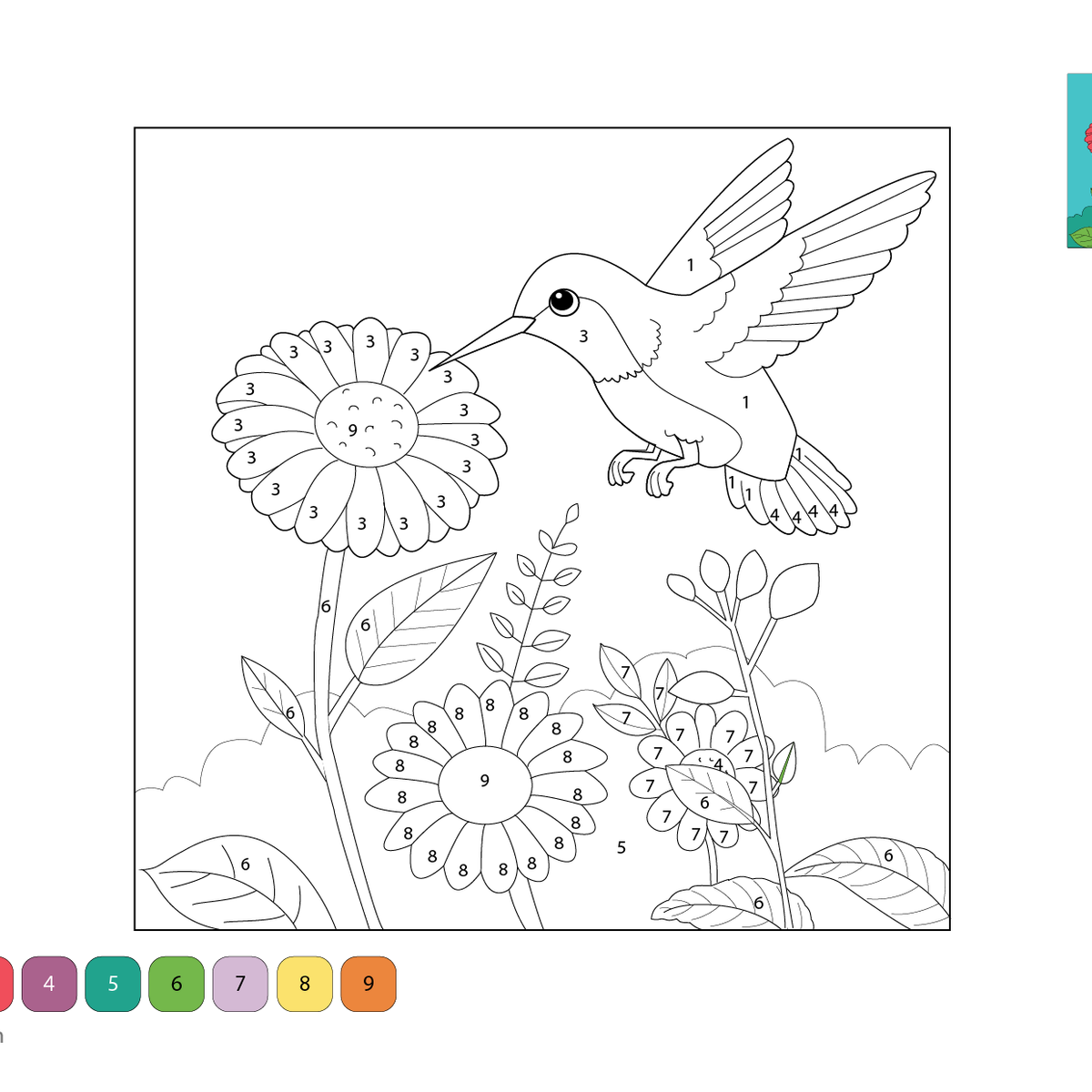 Hummingbird in the Garden - Color by Number Page