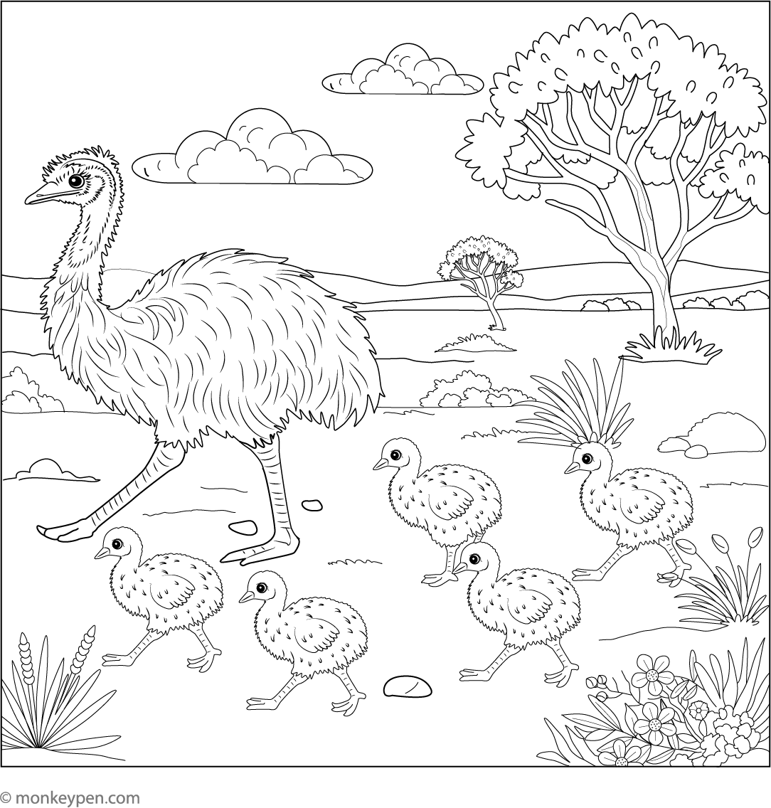 Emu Coloring Book (Free Printable PDF)