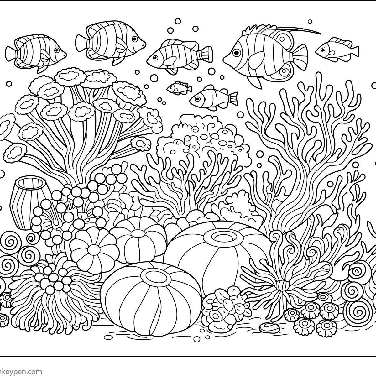 coral printable