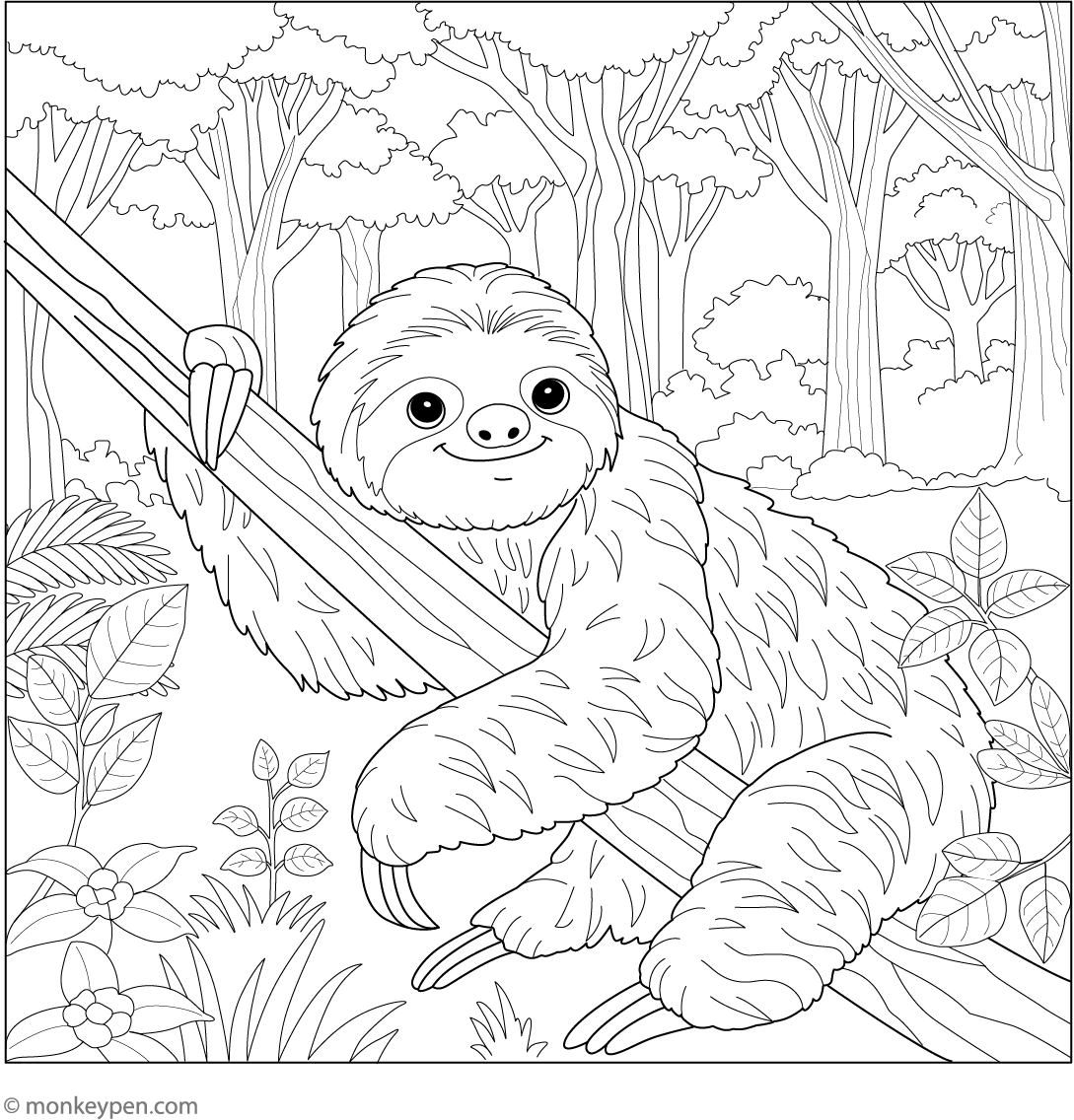 Sloth in the Forest – Jungle Animal Coloring Page for Kids
