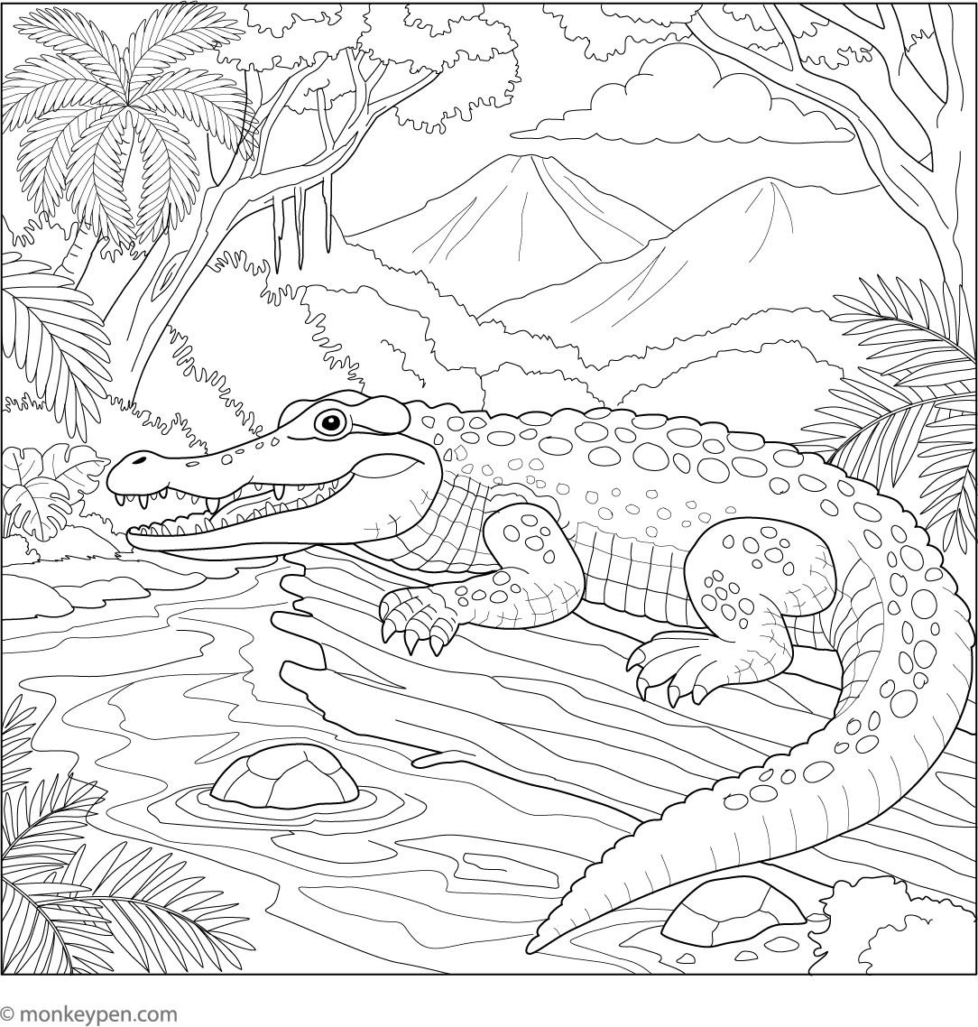 Crocodile in the Rainforest