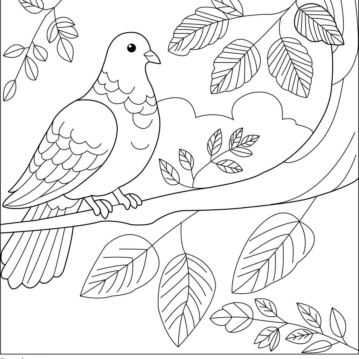 coloring page tree branch