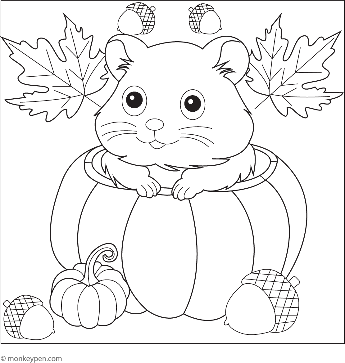 Hamster in a Pumpkin | Free Printable Coloring Page PDF