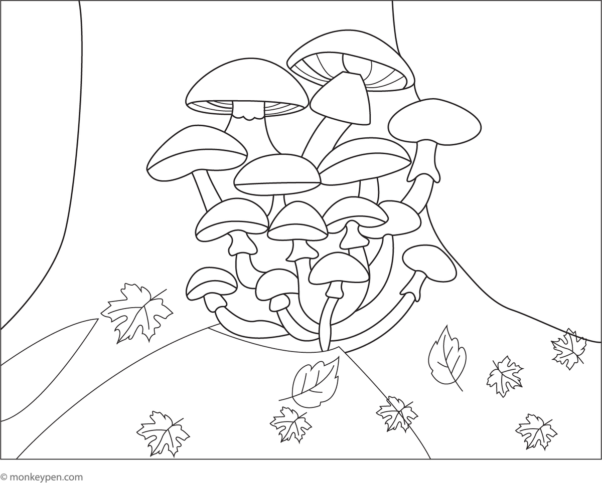 Mushrooms on the Tree Trunk | Printable Free Coloring Page for Kids