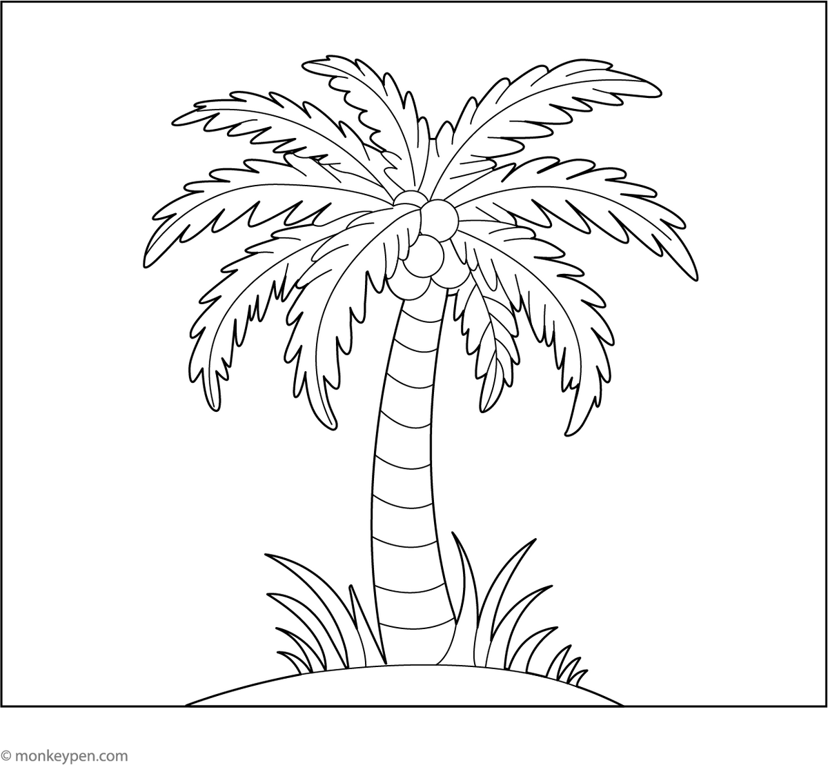 palm tree coloring page easy