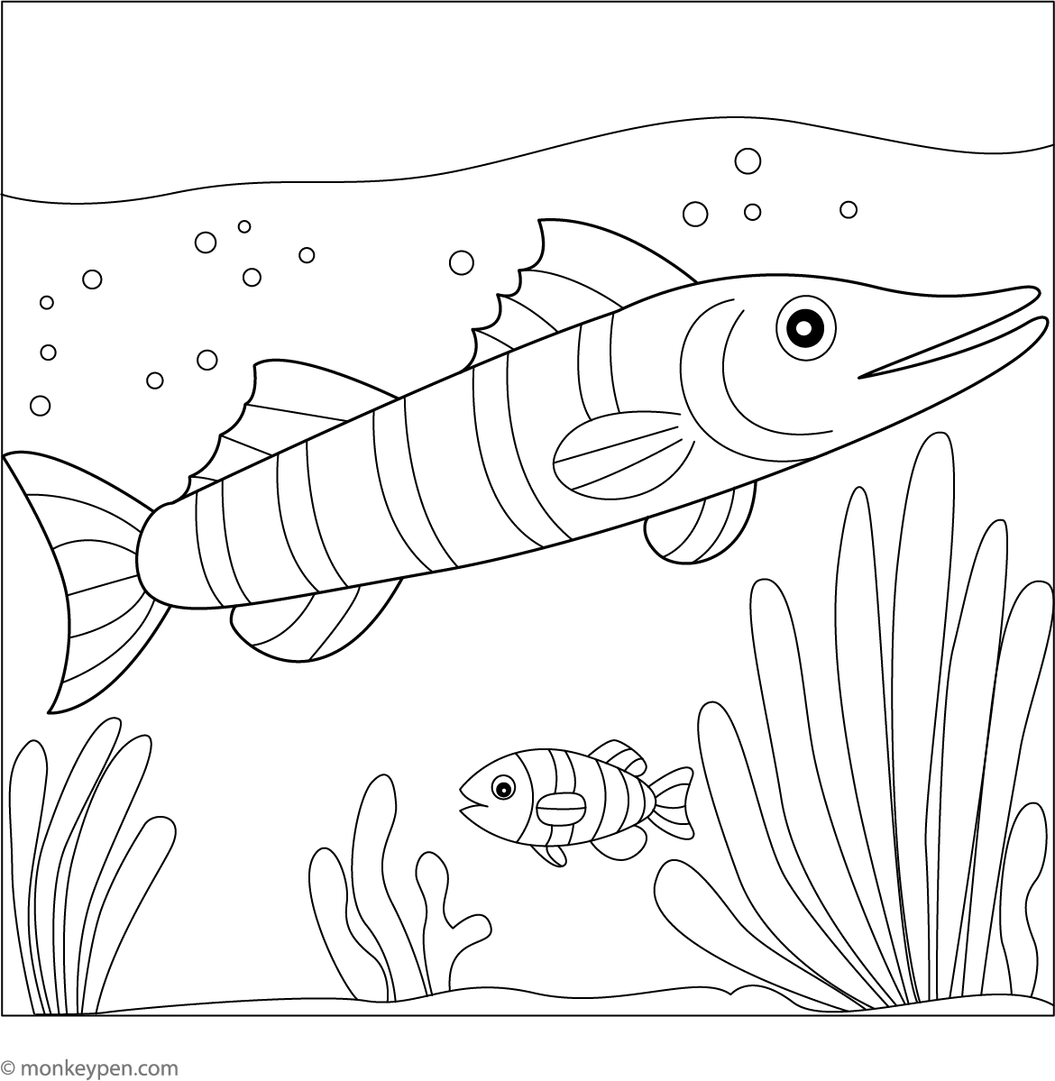 Kids Barracudas Coloring Page – Free Printable PDF