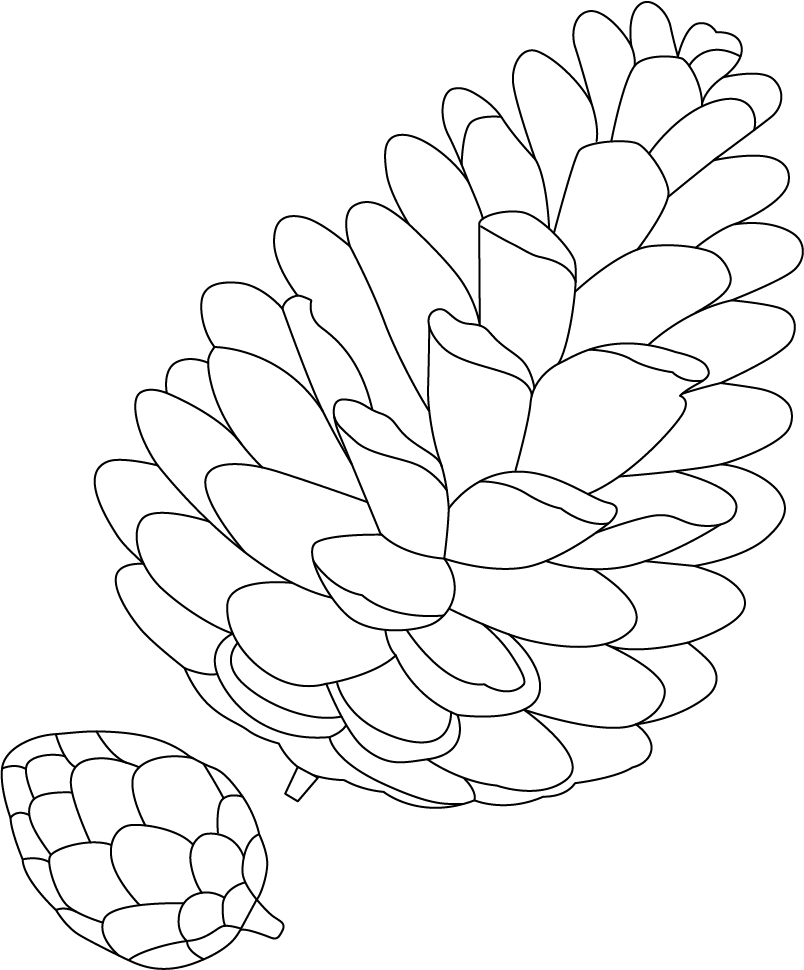 Pinecone Coloring Page – Free Printable PDF for Kids