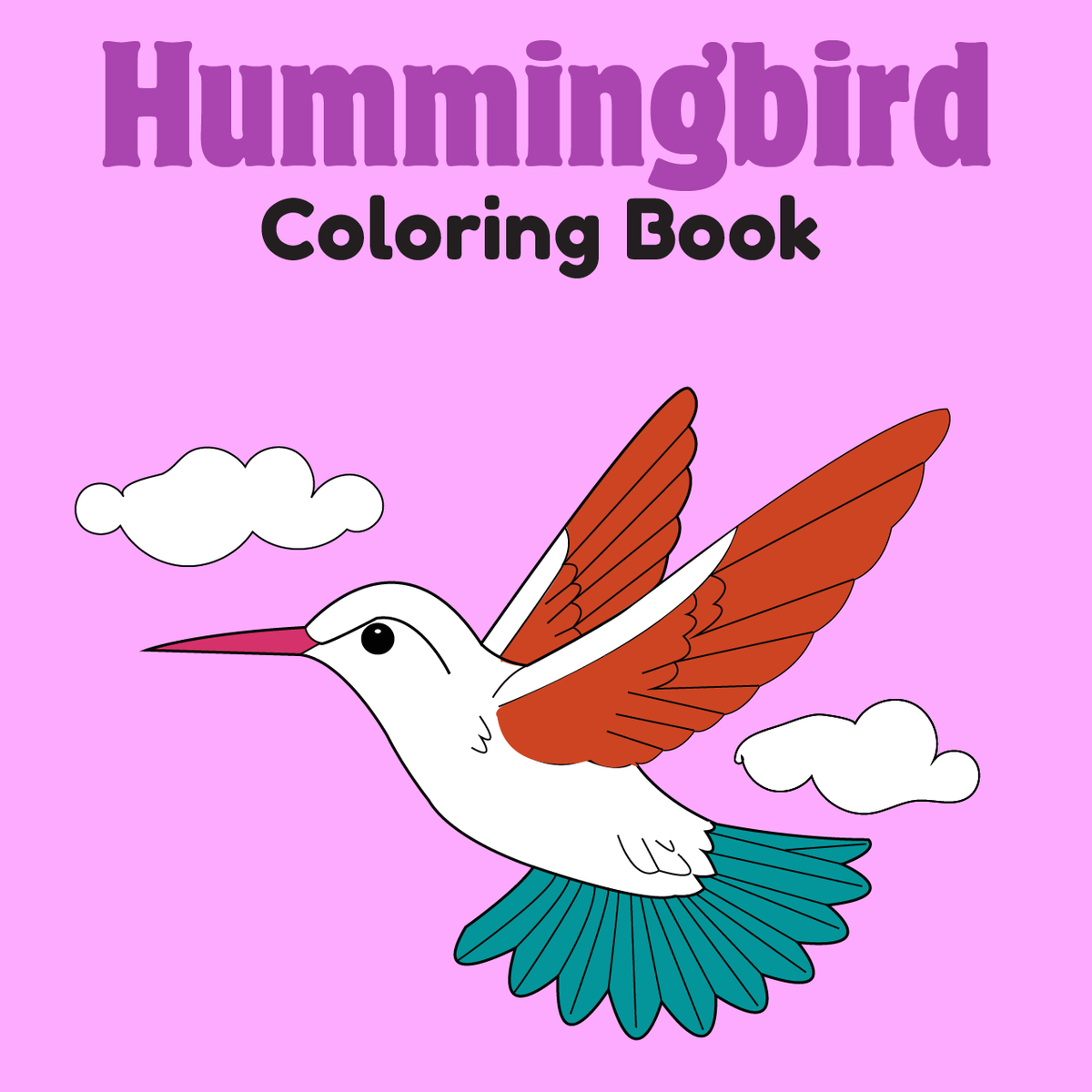 Hummingbird Coloring Book
