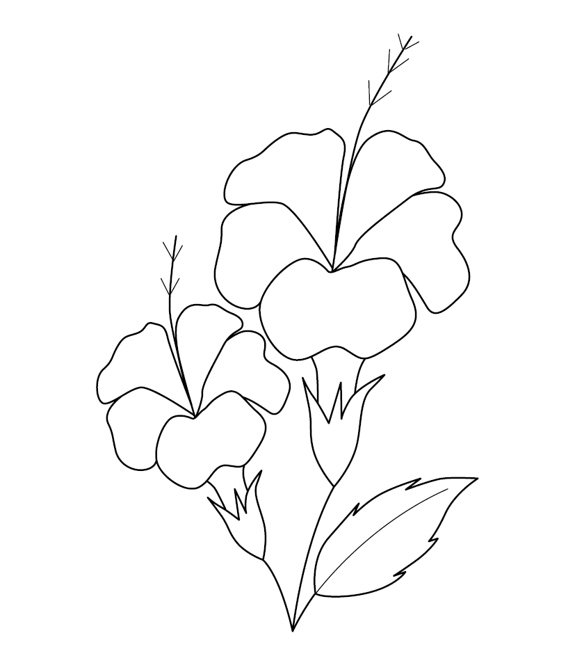 flower drawing coloring book