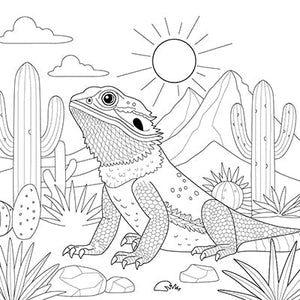 desert lizard coloring pages