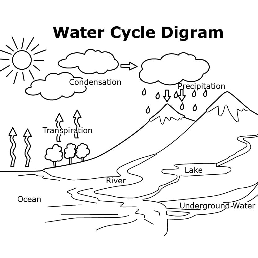 Water Cycle Colouring Page | Free Colouring Book for Children