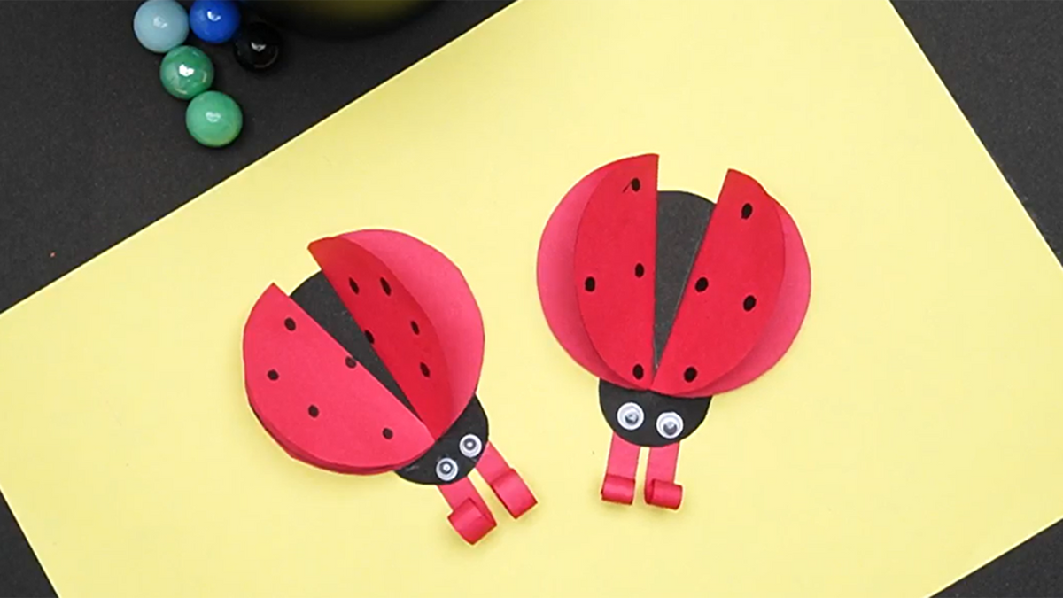 How to Make Lady Bug Craft – Easy Craft Ideas & DIY Projects