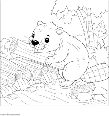 Beaver Coloring Book – Free Printable PDF