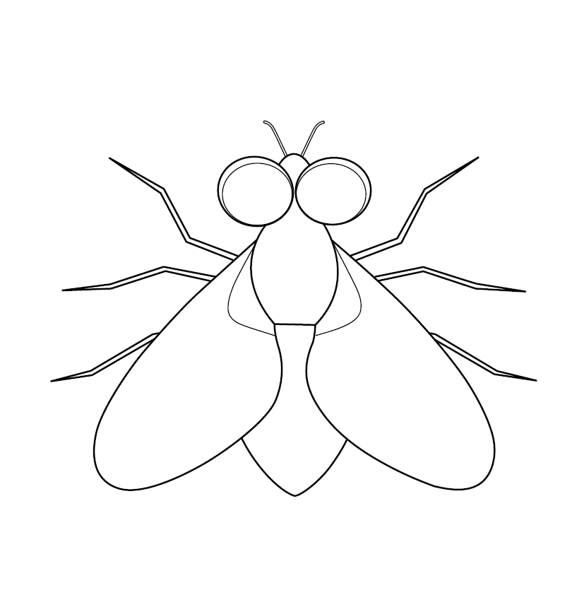 Fly Coloring Picture Page – Free Fun Printable for Kids
