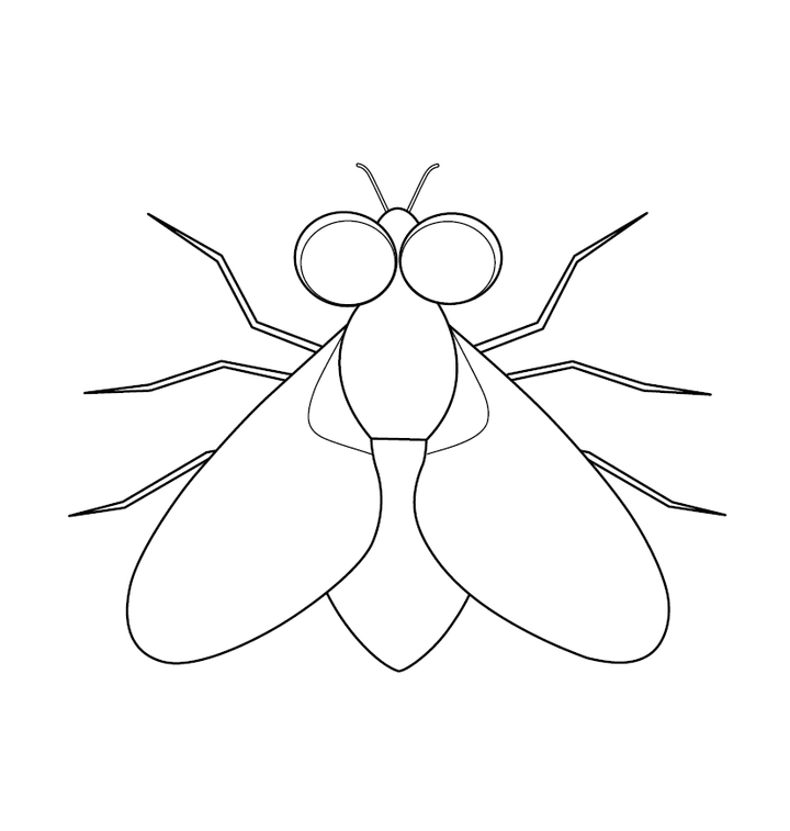 Fly Coloring Picture Page – Free Fun Printable for Kids
