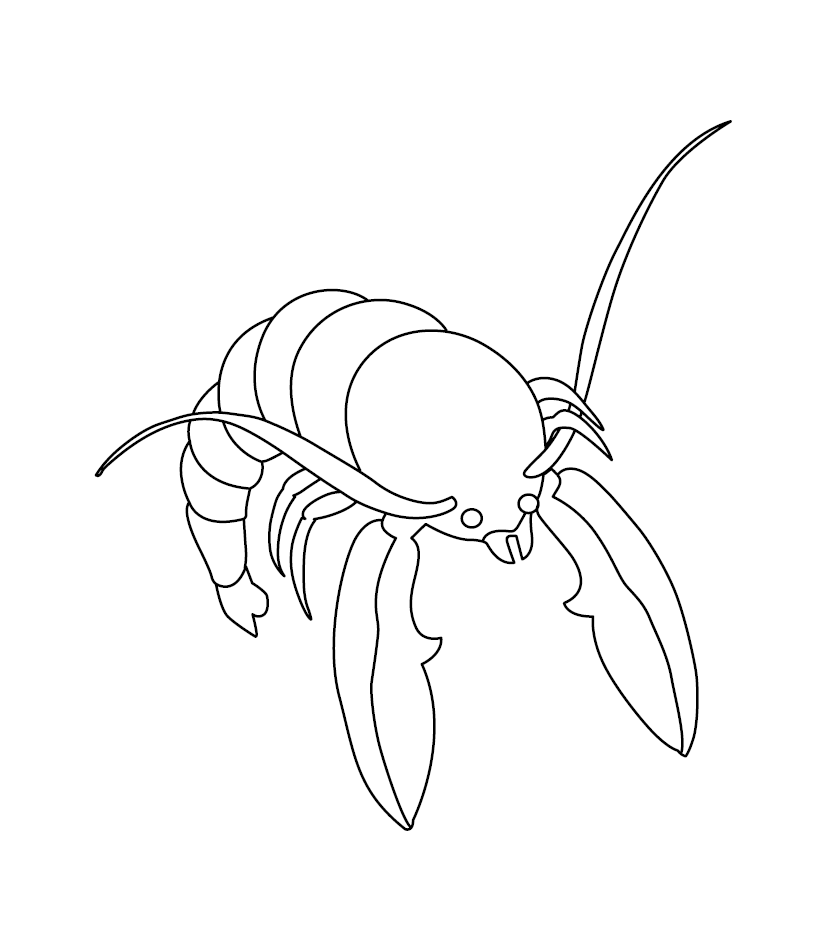 Lobster/ Prawn Coloring Picture