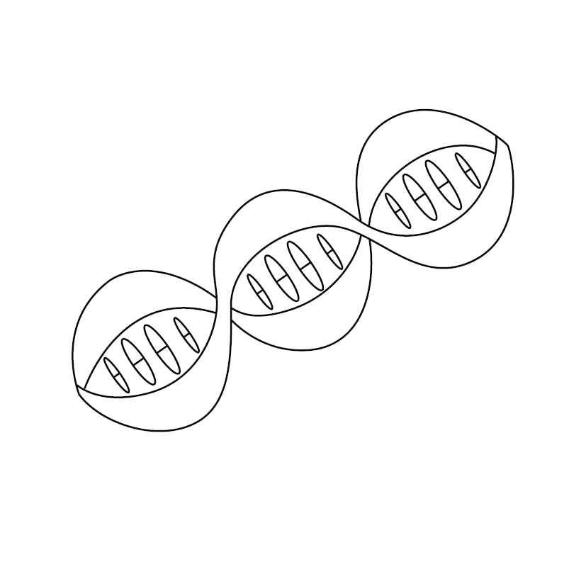 Printable Dna Structure Coloring Page