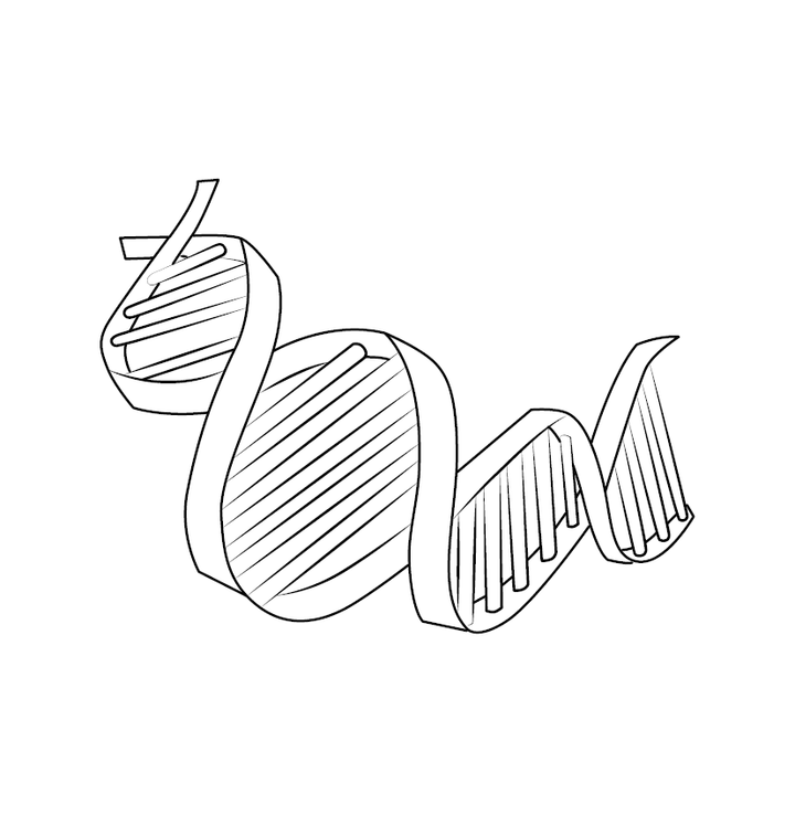 Free Dna Structure Coloring Sheet