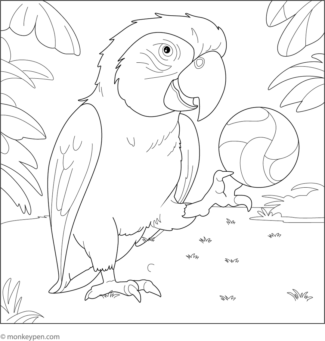 Macaw Playing With A Ball Coloring Page