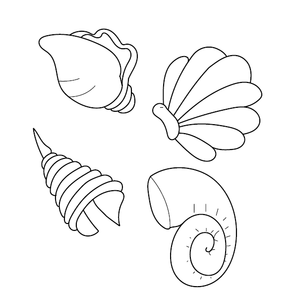 Seashell Coloring Page - Printable Coloring Page PDF