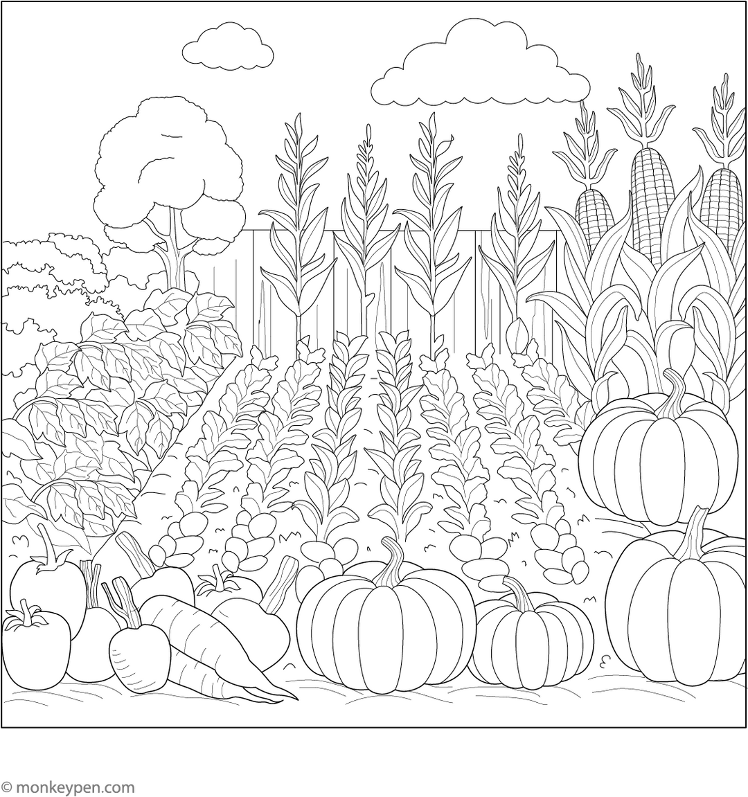 Vegetable Garden Coloring Page