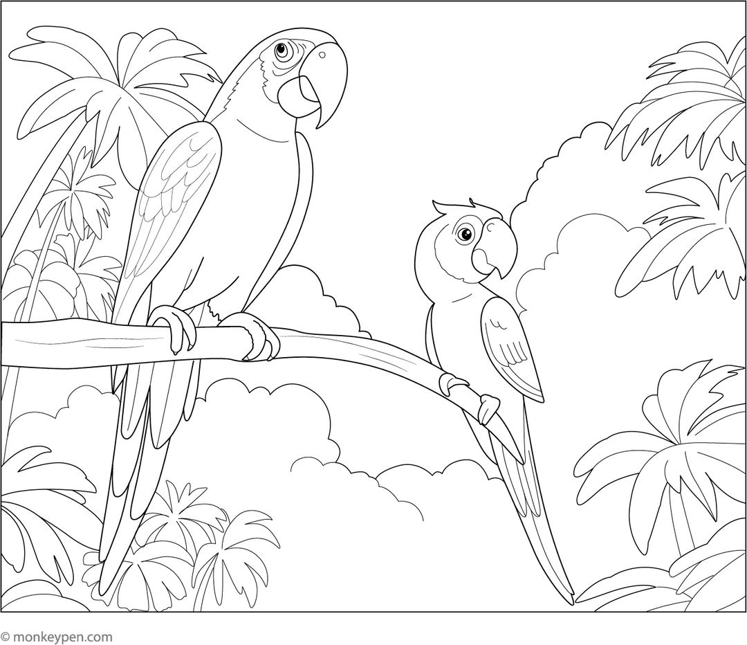 Printable Macaw Coloring Book PDF