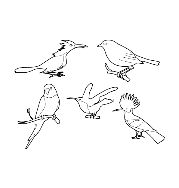 Birds Coloring Page – Free Printable PDF for Kids
