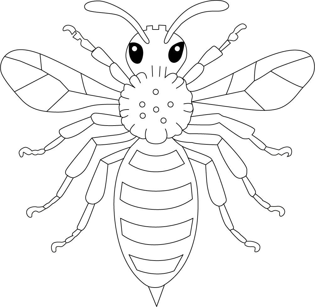 Wasp Coloring Page - Free Coloring Page Printable PDF