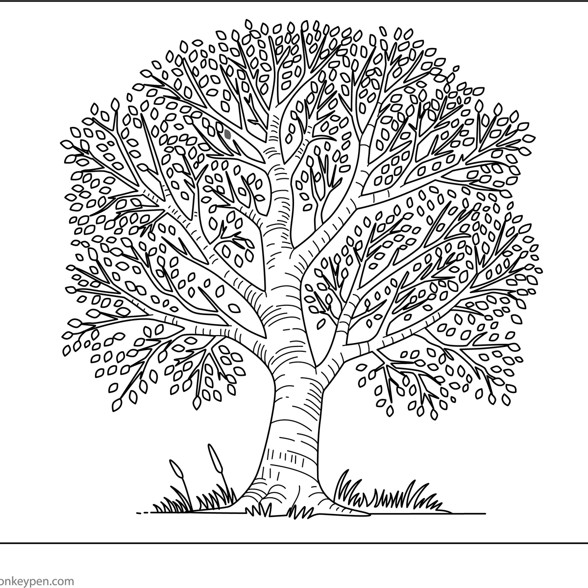 Birch Tree Coloring Page