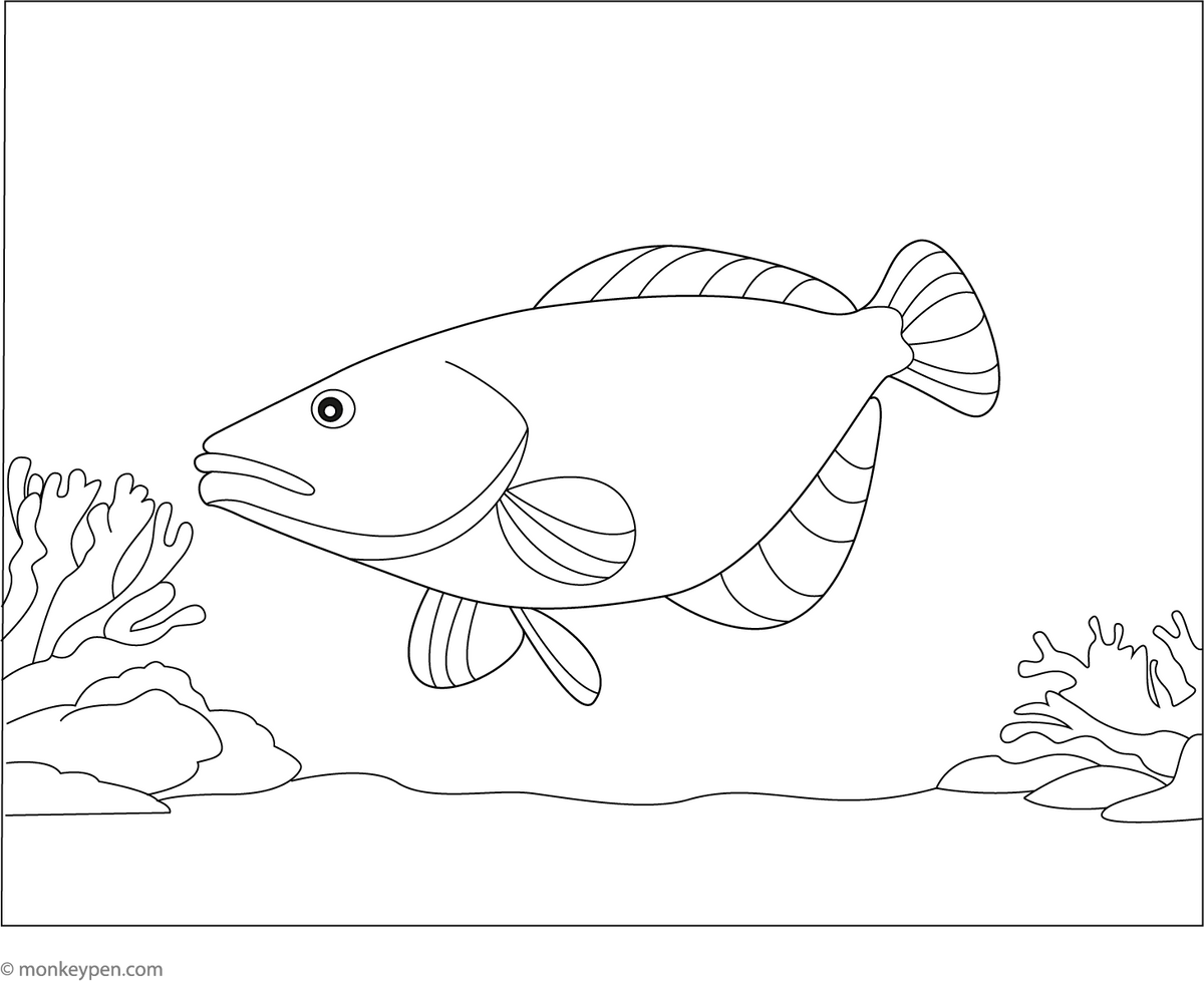 Halibut Fish Coloring Page – Free Printable PDF for Kids