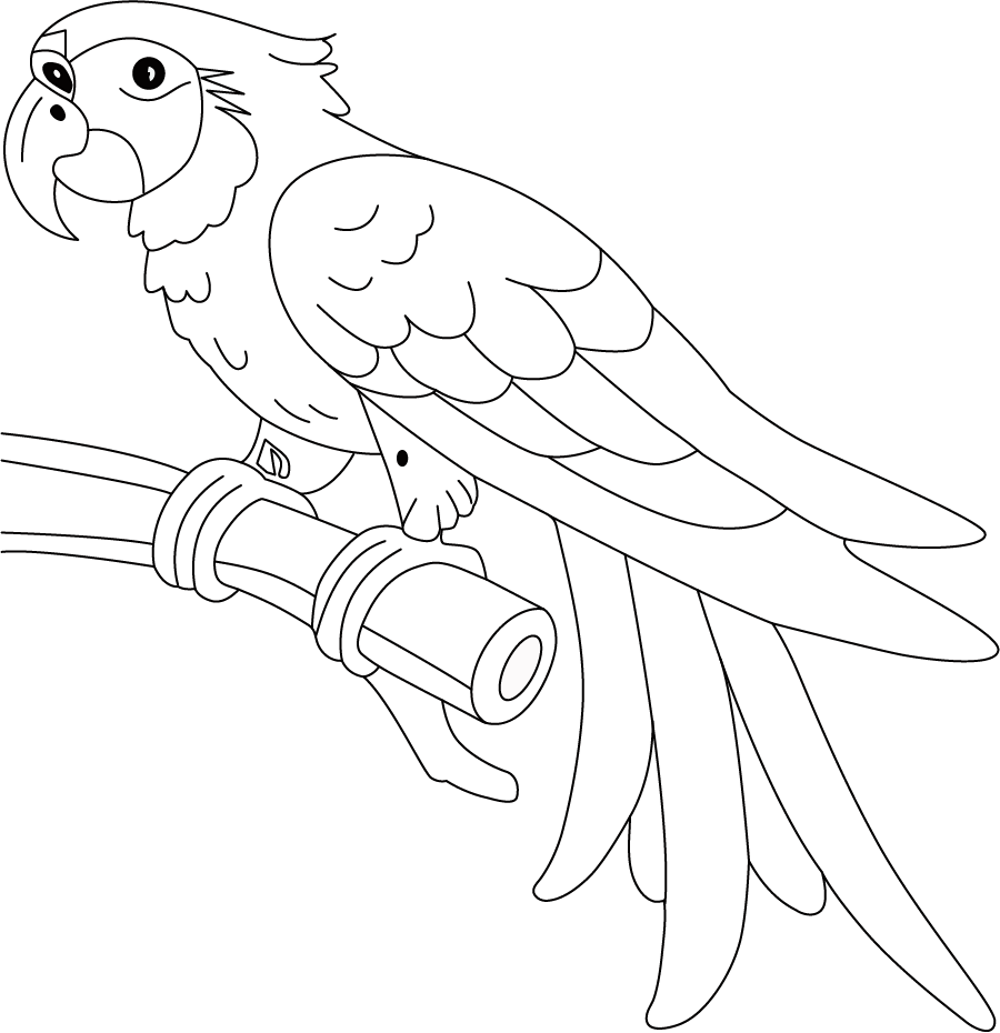 Macaw Free Printable Coloring Page PDF for Kids
