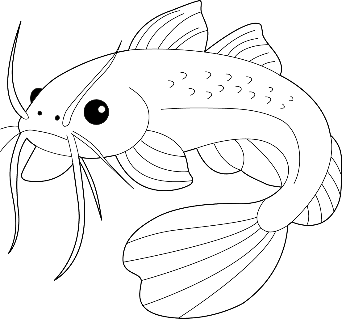 Free Catfish Coloring Page - Free Printable Coloring Page