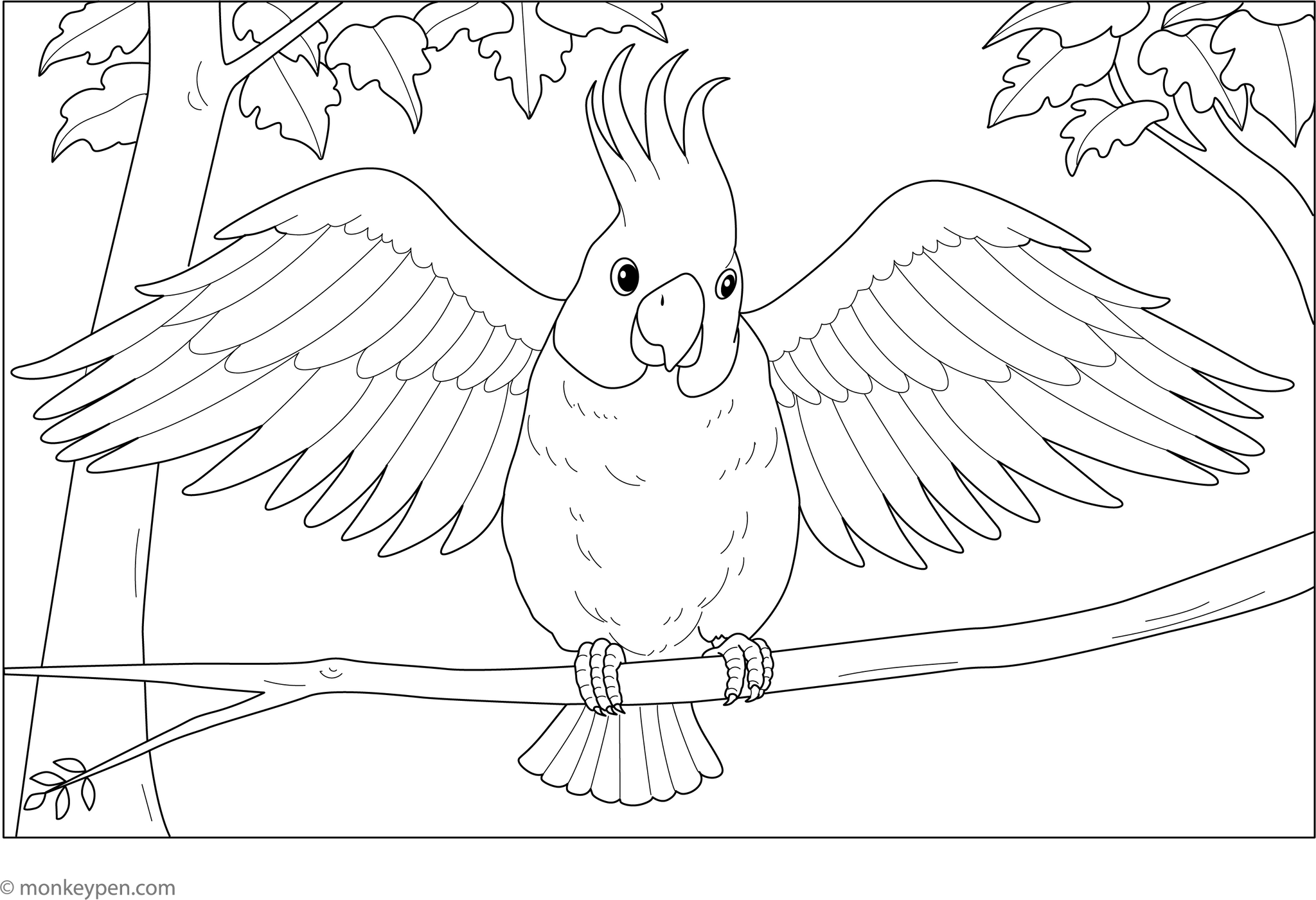 Cockatoo With Feathers Spread Coloring Page