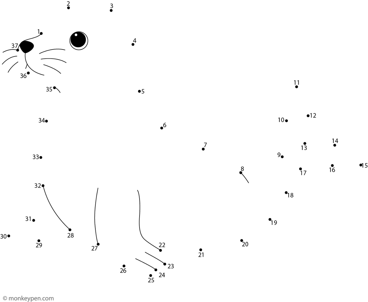 Seal | Printable Dot-to-Dot Activity for Kids