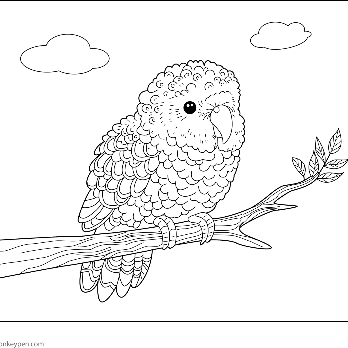 Kakapo Coloring Page