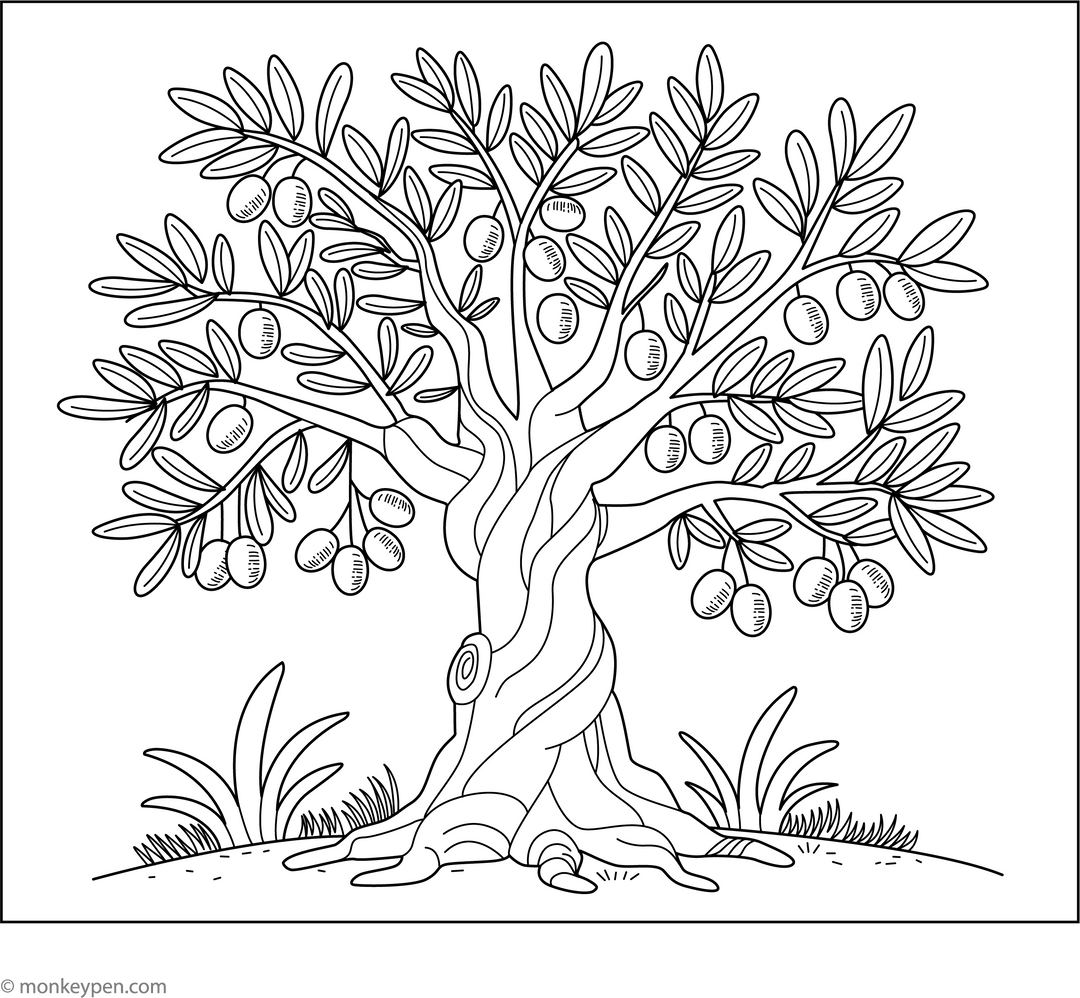 Adorable Olive Tree Coloring Page – Interactive Coloring Fun