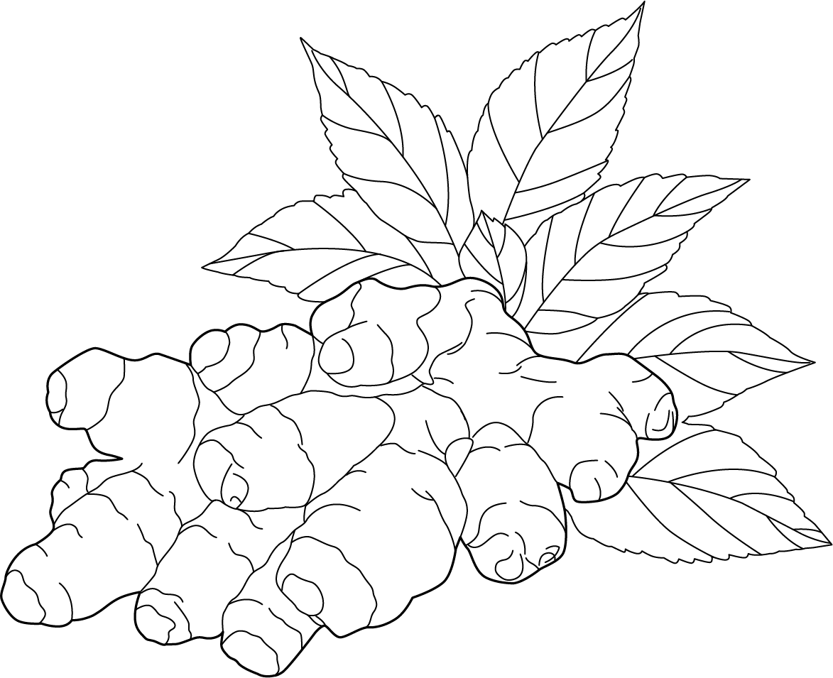 Ginger Coloring Page – Free Printable PDF for Kids Fun